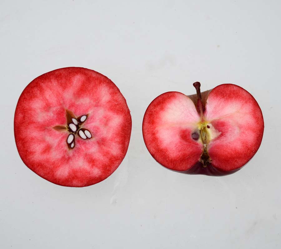 Red fleshed apple cultivars | Red fleshed apples