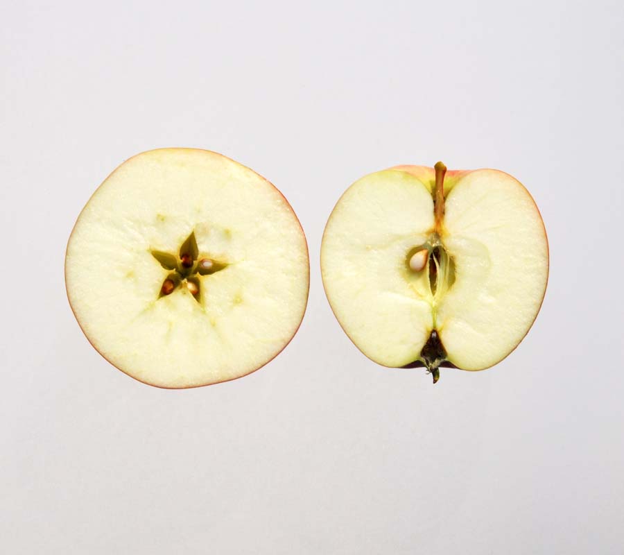 Red Aroma Apple | Organic apple variety