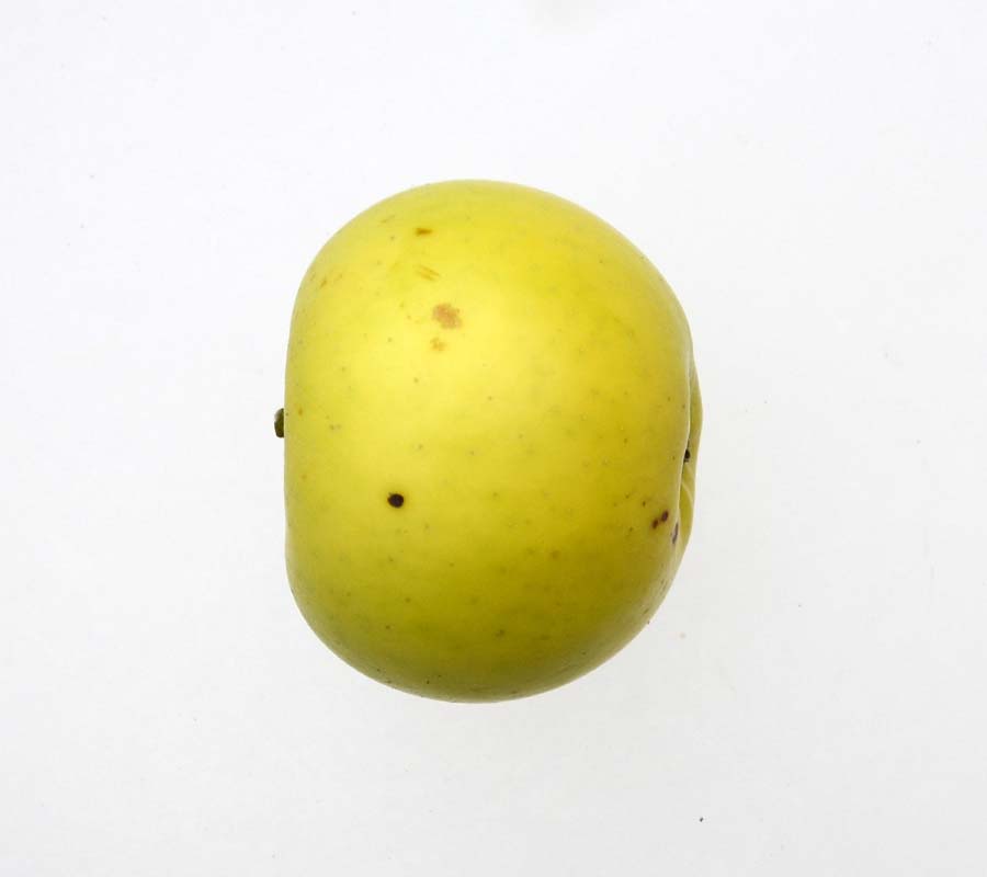 Gamle og nye æblesorter, danske og udenlandske