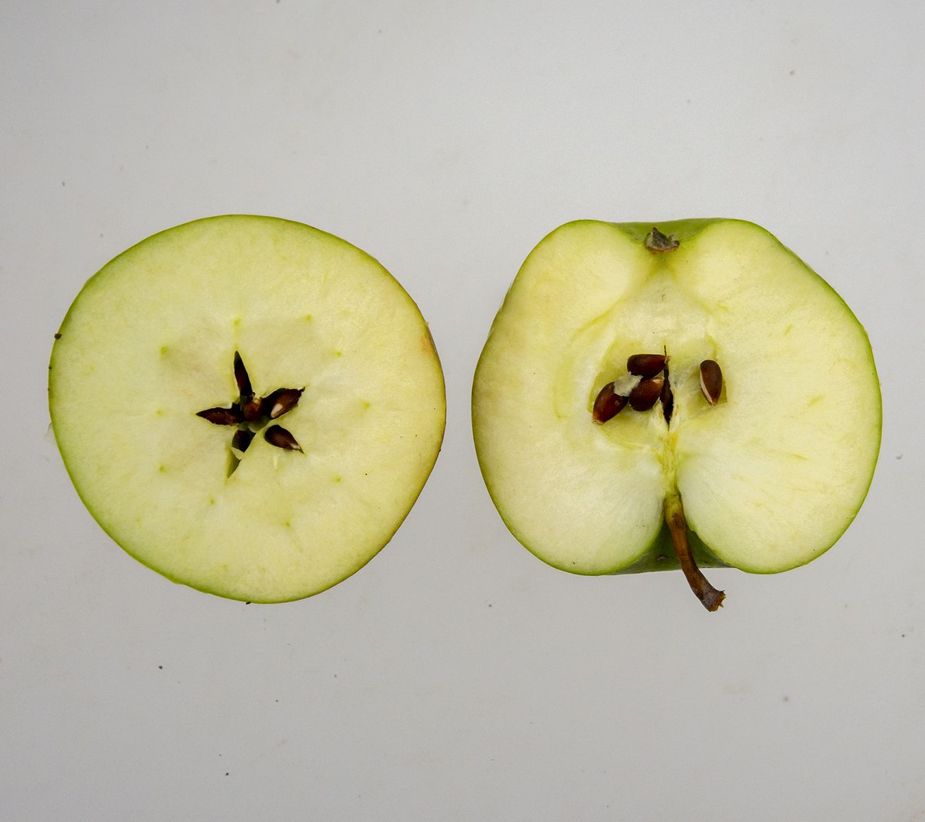 Granny Smith æble