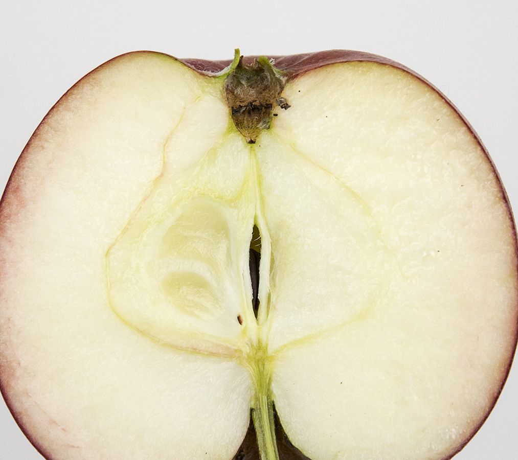 Ingrid Marie æble | Æblesorter