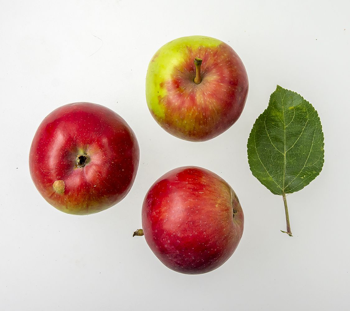 Julyred æble