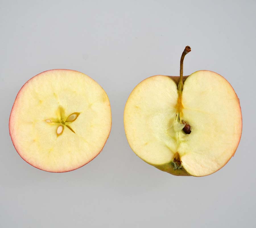 Ananas Reinette æble | Æblesorter